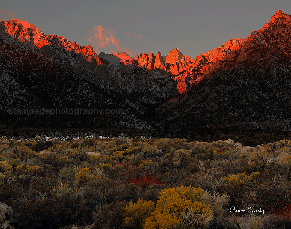 Scenic Photography | Stampede Photography
